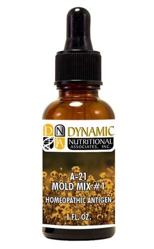 Hormodendrum Mold